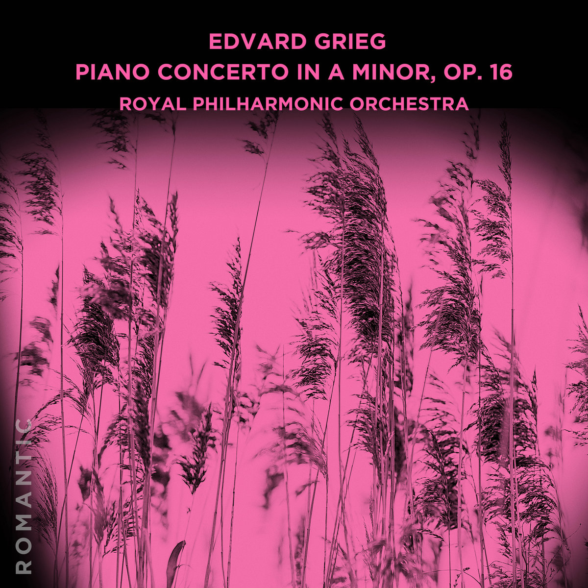 Edvard Grieg: Piano Concerto in A Minor, Op. 16 | Royal Philharmonic Orchestra
