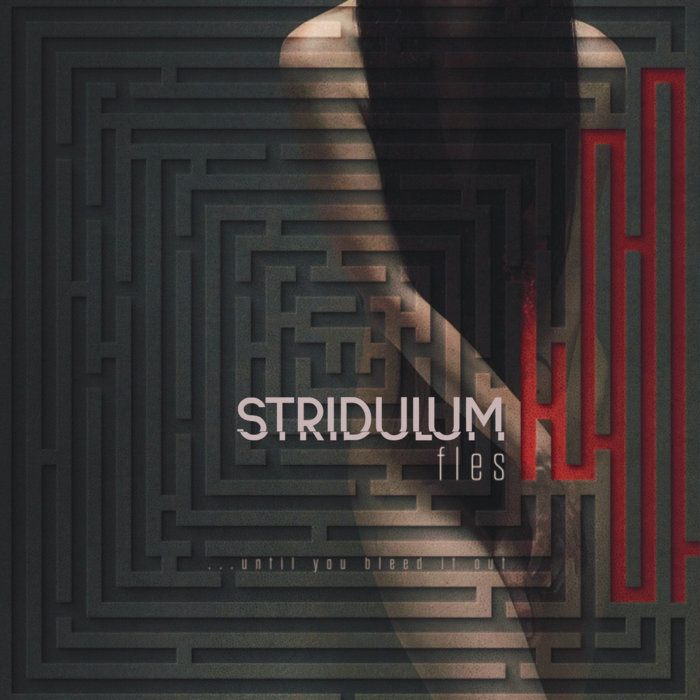 FLESH | STRIDULUM