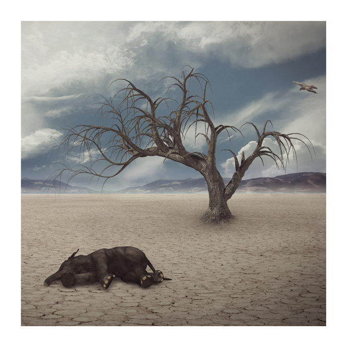 The Earth Is Crying | Simon Chandler