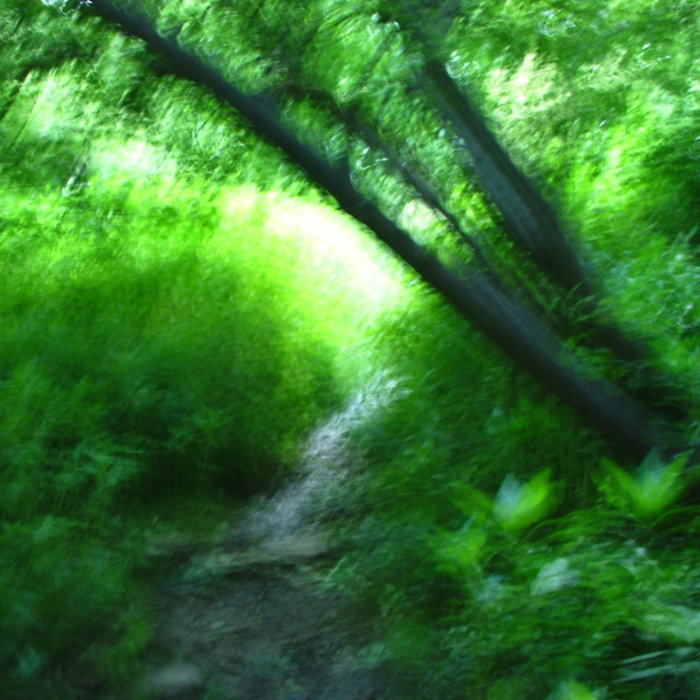 Nein Mein Fuhrer! | Leon Varkalis