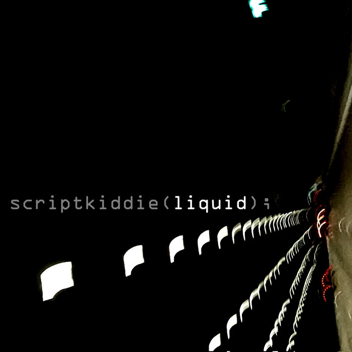 liquid | scriptkiddie();