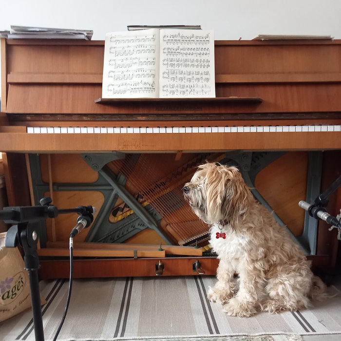 Hello Again | Aidan McCormack Voller