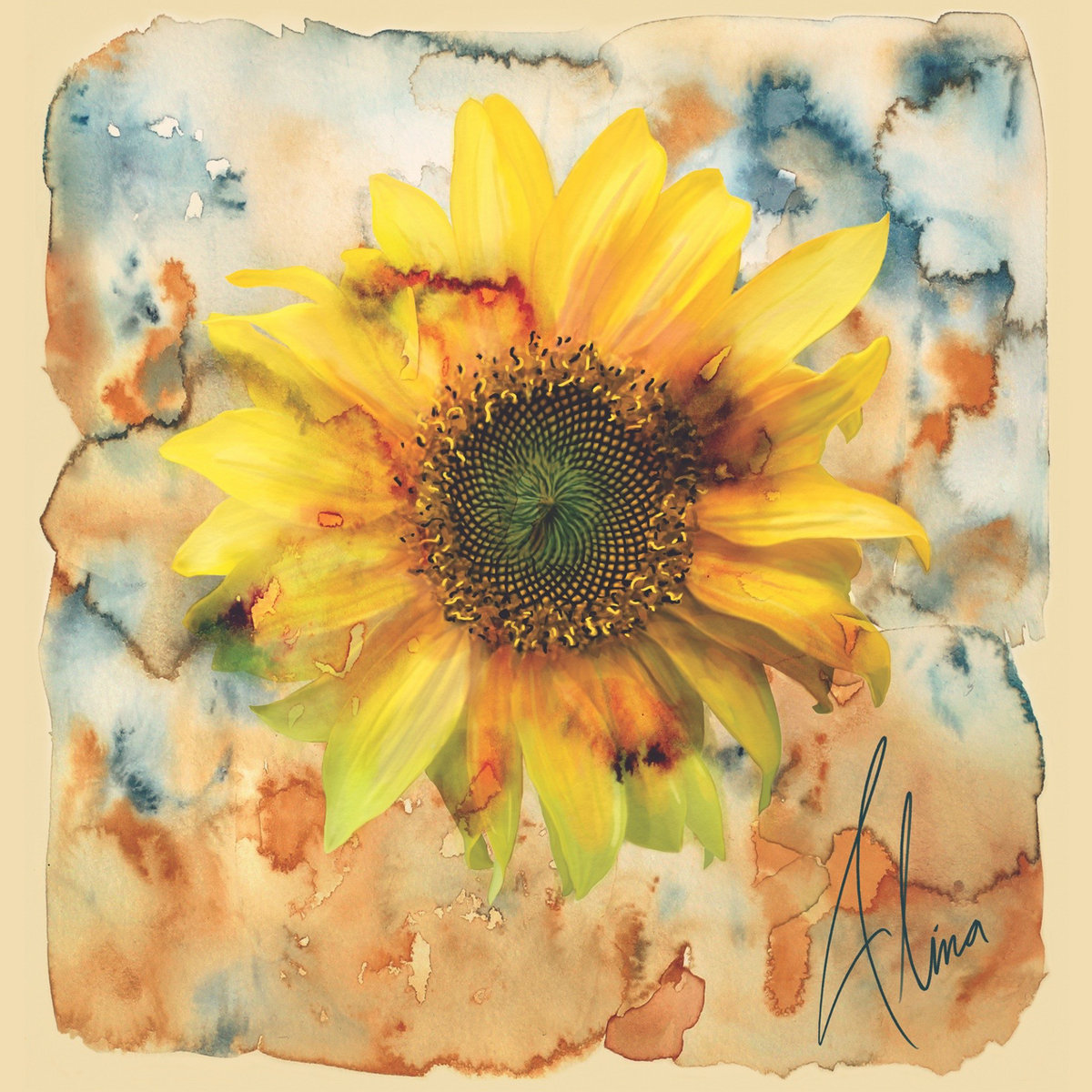 Alina | Chester Martin