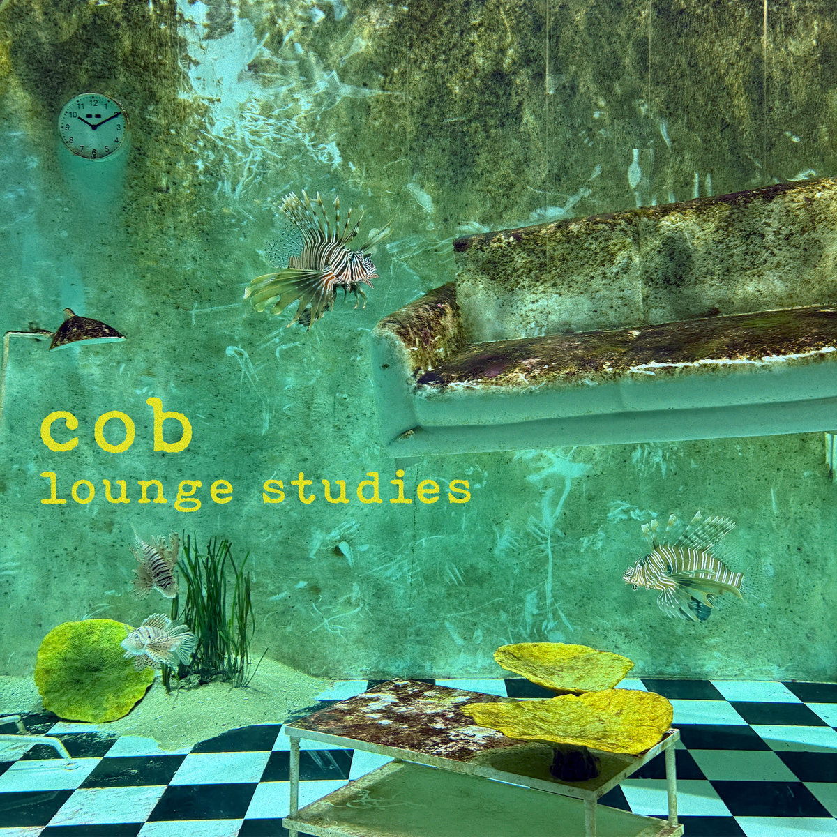 Lounge Studies | Cob