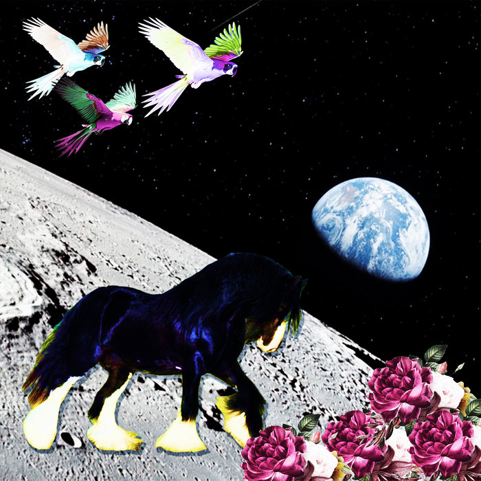 All The Way Up | Steve Bick