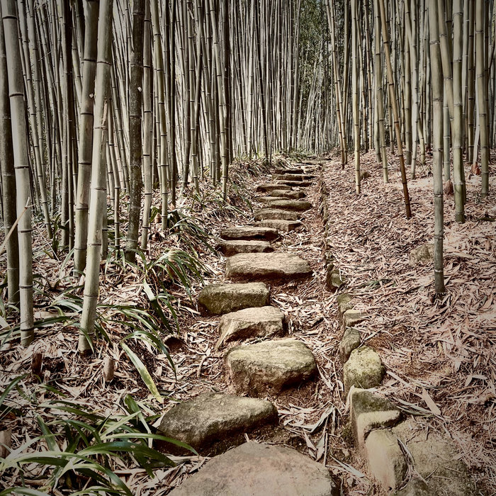 NoWords | Yuri Urano