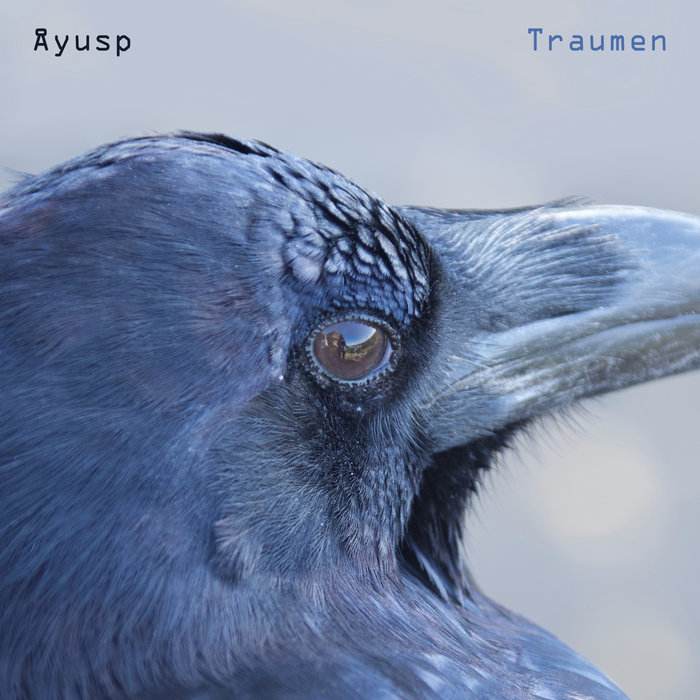 Traumen (radio edit) | Åyusp