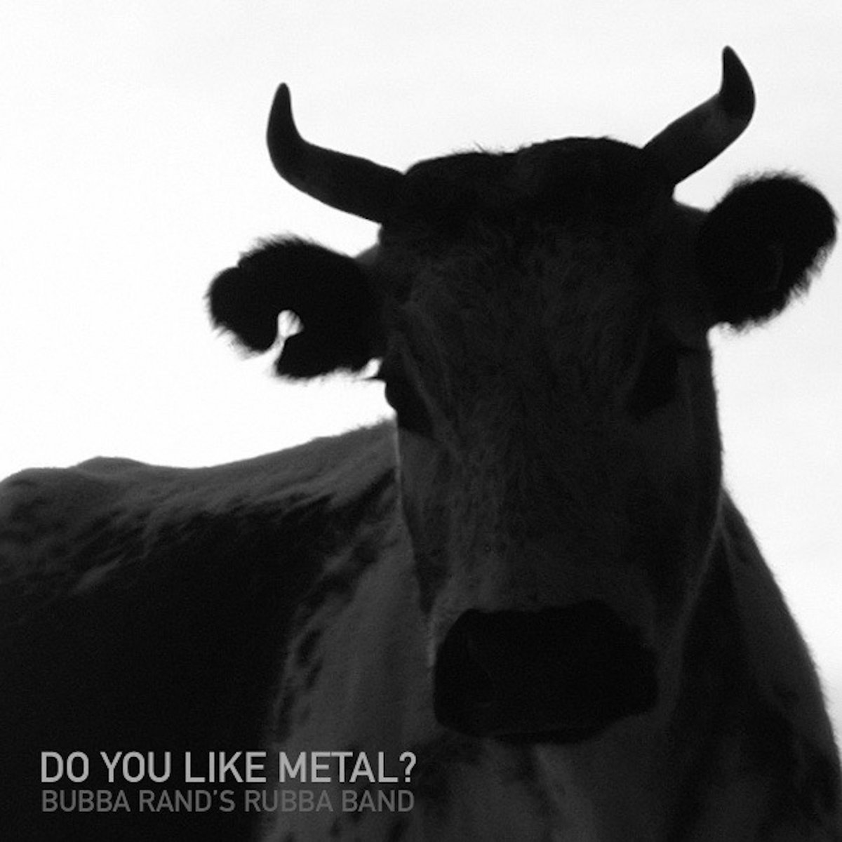 Do You Like Metal? | Bubba Rand's Rubba Band