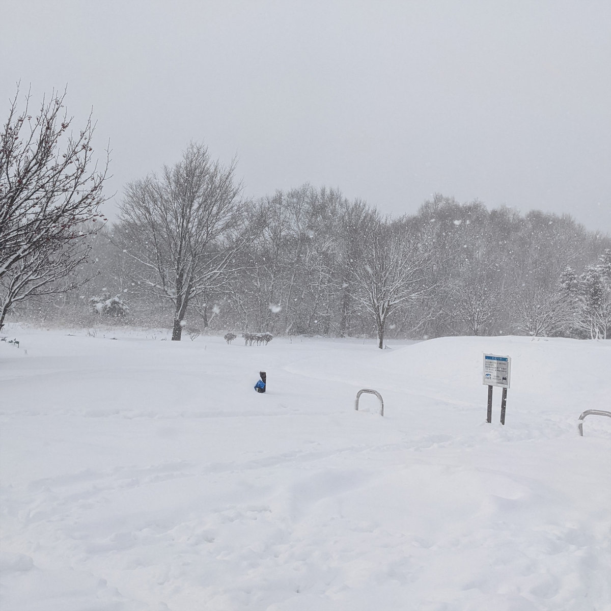 Home Normal Mixtape by Pakchee | Various Artists | Home Normal