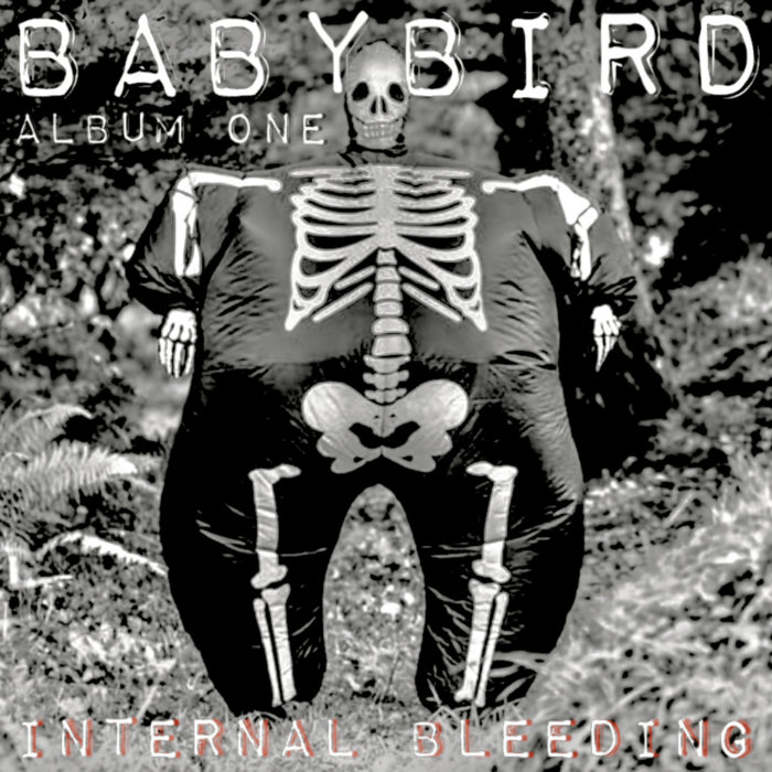 INTERNAL BLEEDING ALBUM ONE | babybird | stephen jones