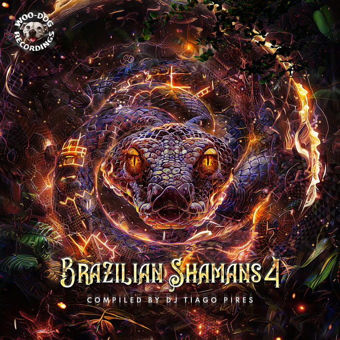 Brazilian Shamans 4 (Compiled by Tiago Pires ) | Woo-Dog Recordings ...
