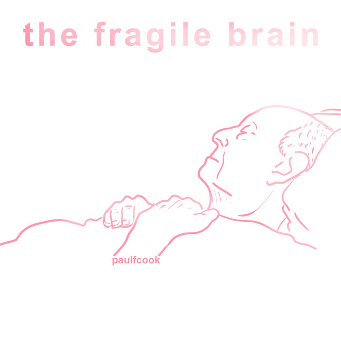 The Fragile Brain | paulfcook