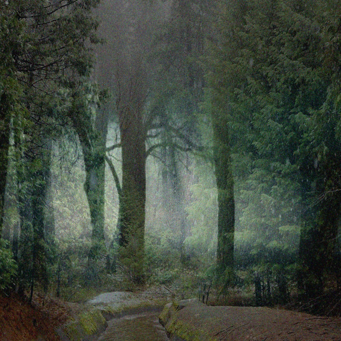 The Ambiguity of Nature | Plastic Alter | Nature Noise Wall