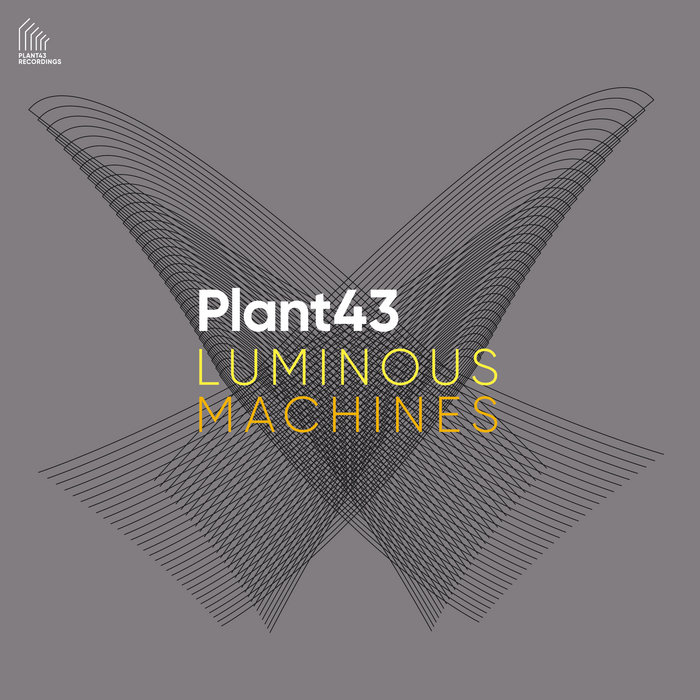 Luminous Machines | Plant43