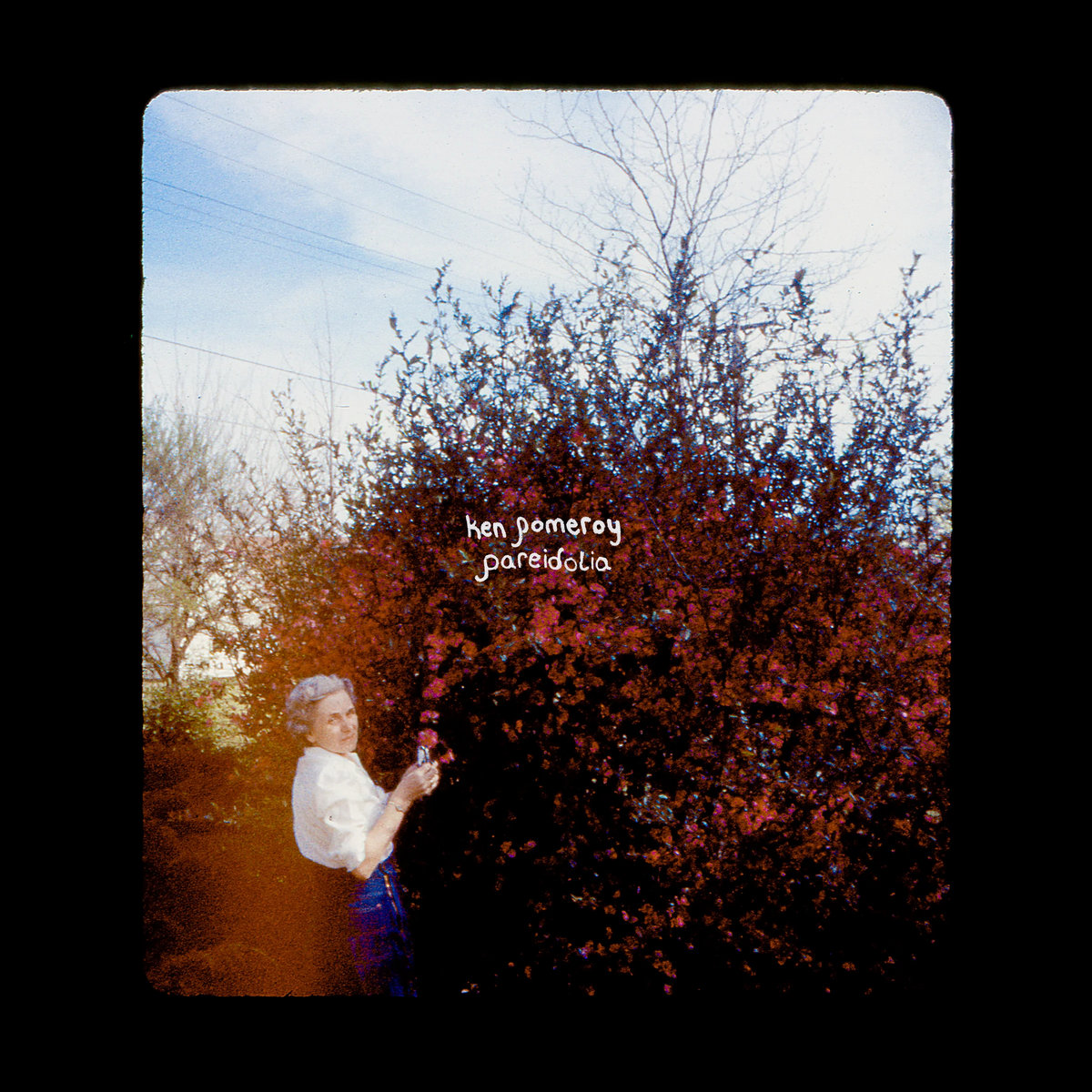 Pareidolia | Ken Pomeroy
