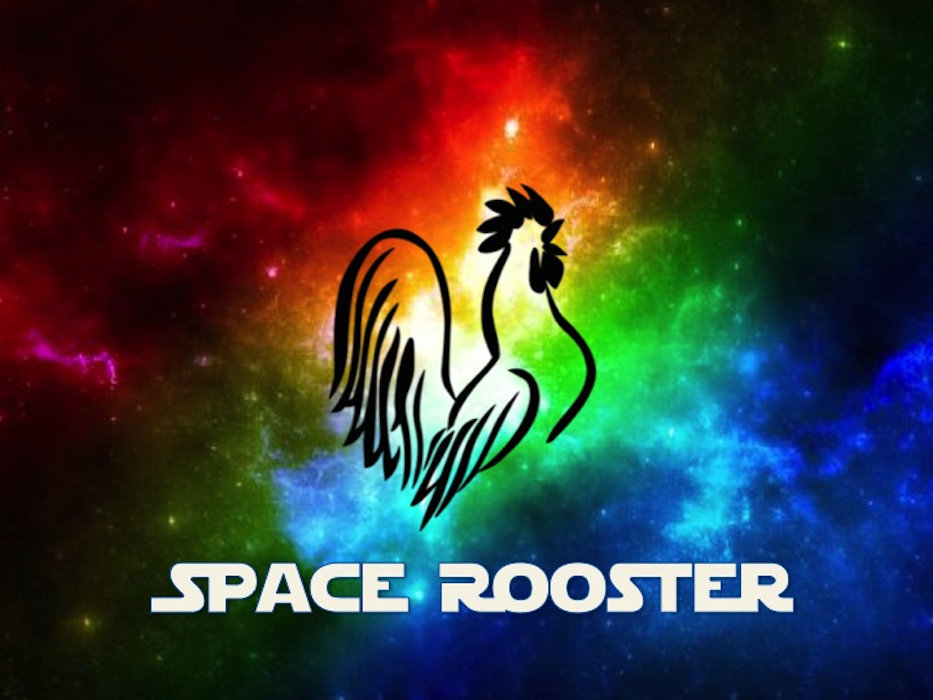 Space Rooster | Space Rooster