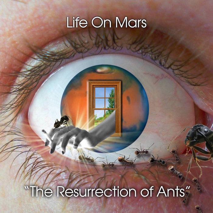 The Resurrection of Ants | Life On Mars