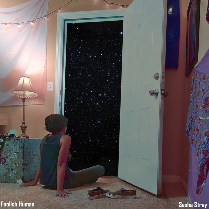 Foolish Human | Sasha Stray