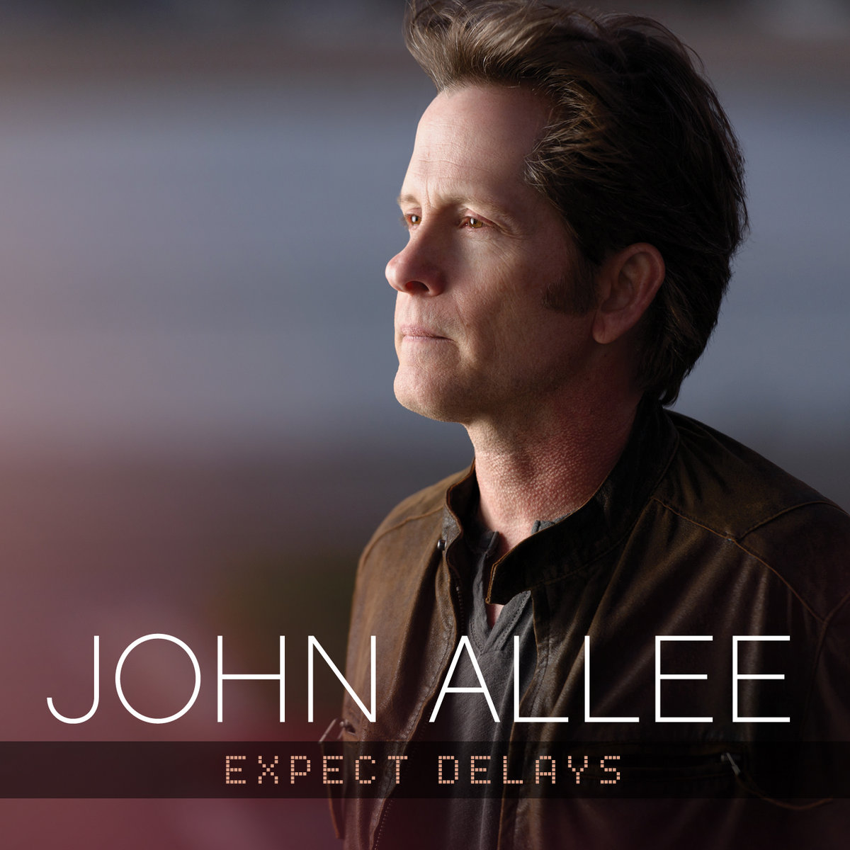 Expect Delays | John Allee