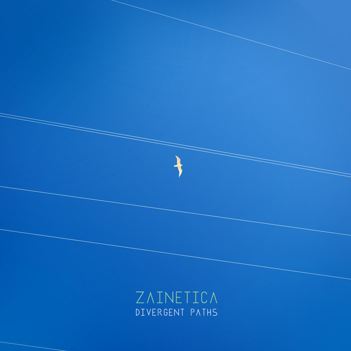 Divergent Paths | Zainetica | Rednetic