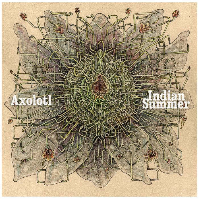 Axolotl | Lord Buffalo
