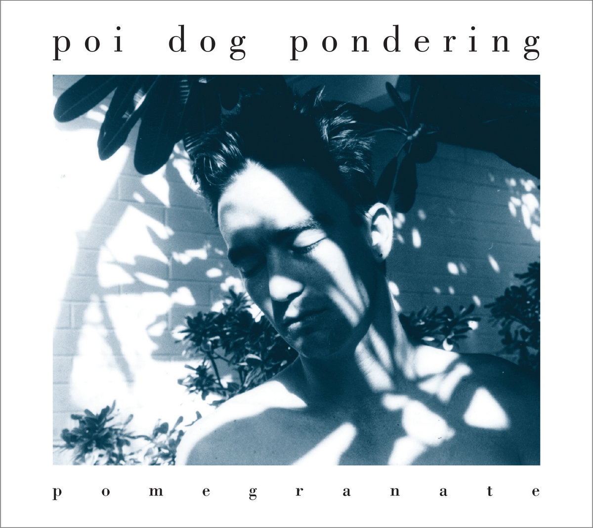 Pomegranate | Poi Dog Pondering