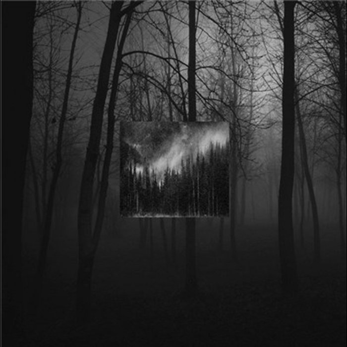 Dark Over Dark | Sad Prophet