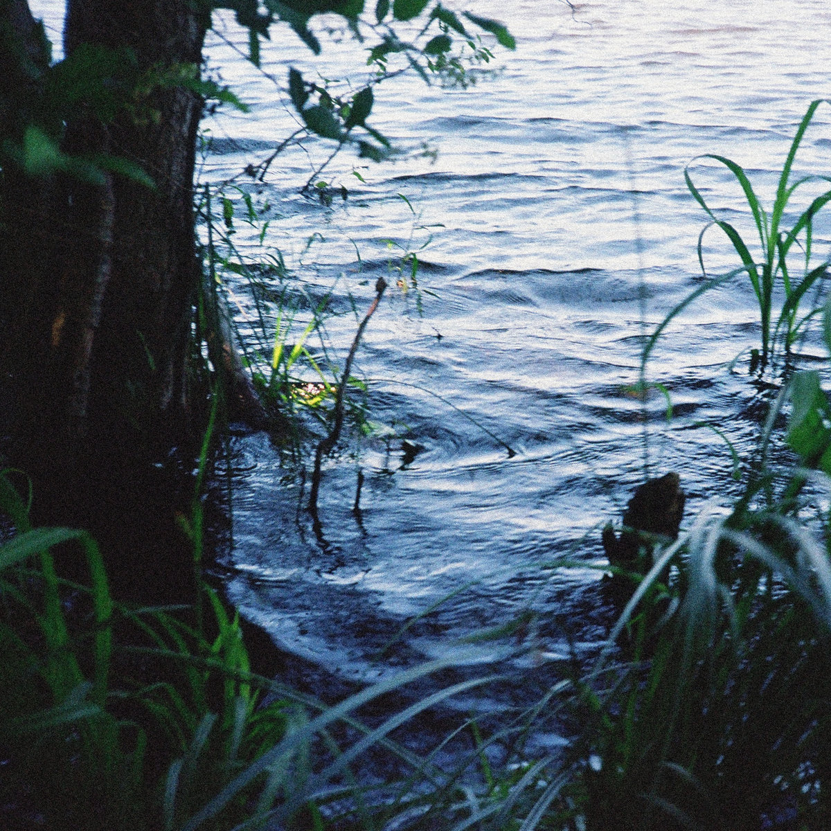 inside / outside | Peter Bark