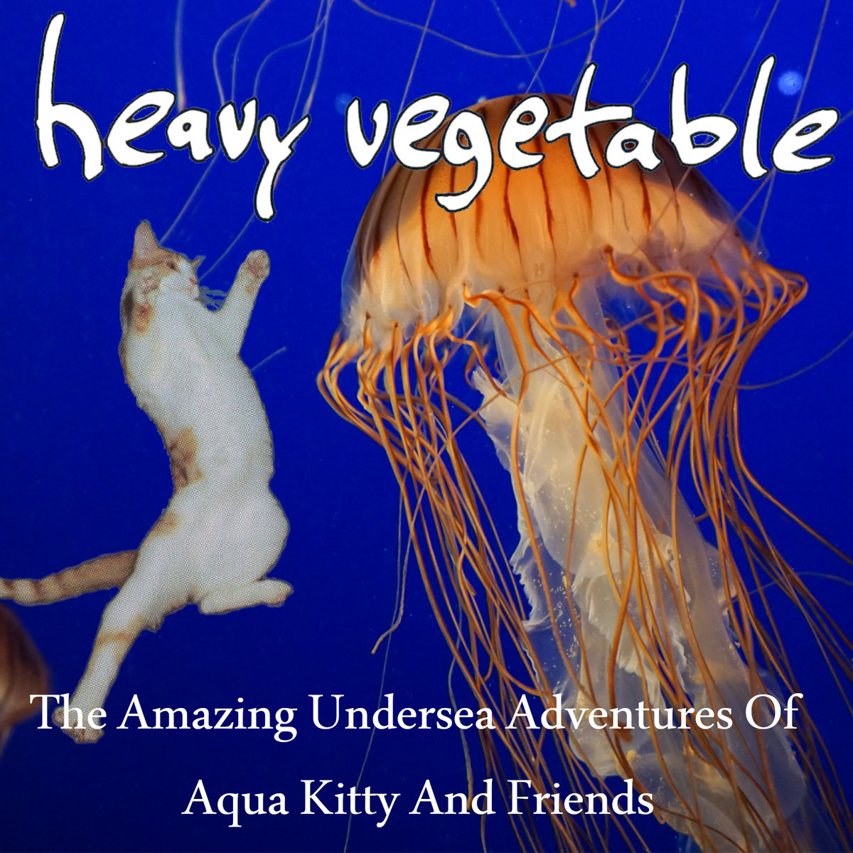 The Amazing Undersea Adventures of Aqua Kitty and Friends | Heavy Vegetable