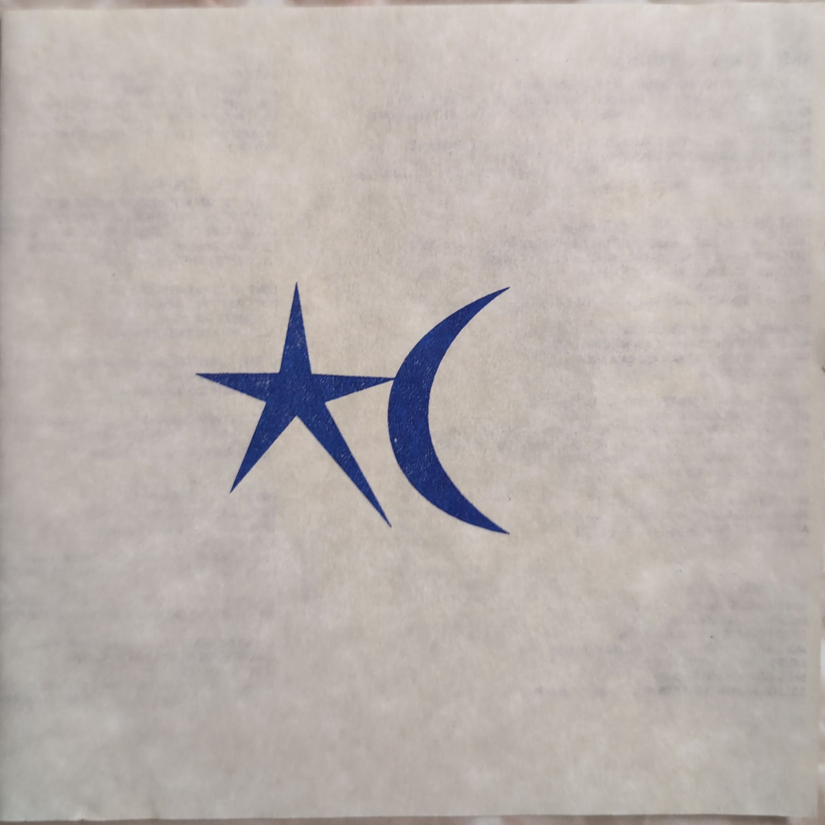 Stella Luna | Stella Panacci