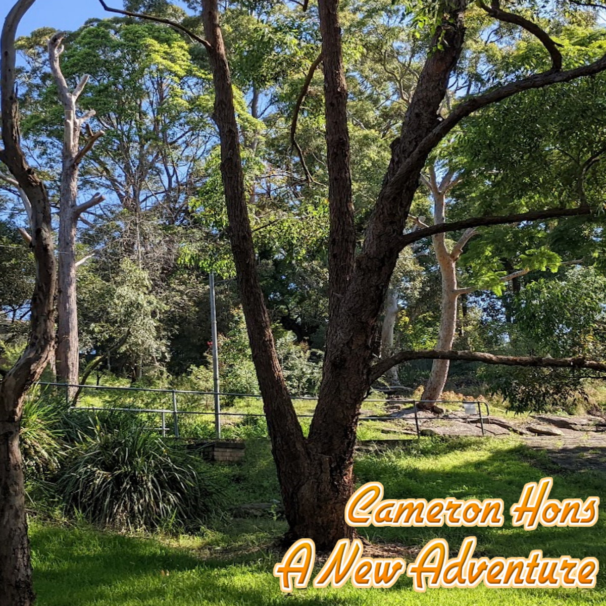 A New Adventure | Cameron Hons