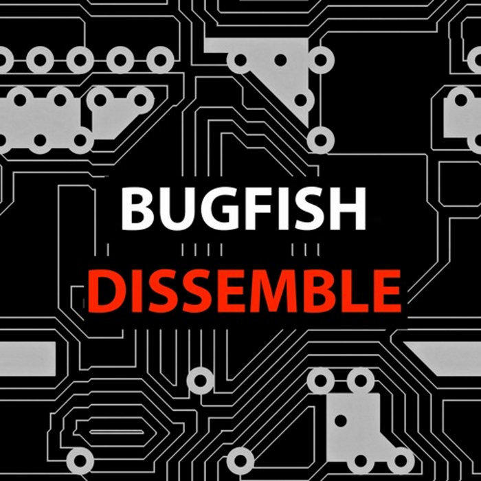 Dissemble Pre-Release Mix | Bugfish