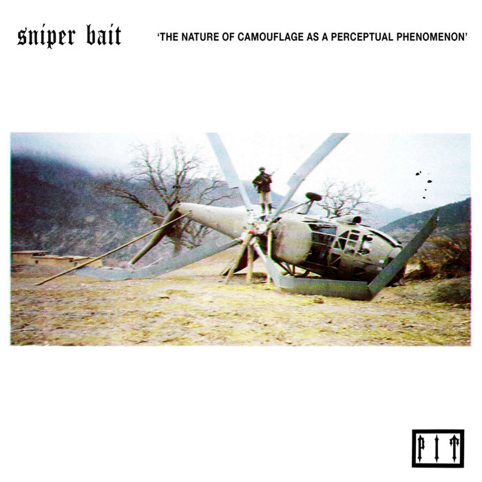 The Nature of Camouflage as a Perceptual Phenomenon [PIT07] | Sniper ...