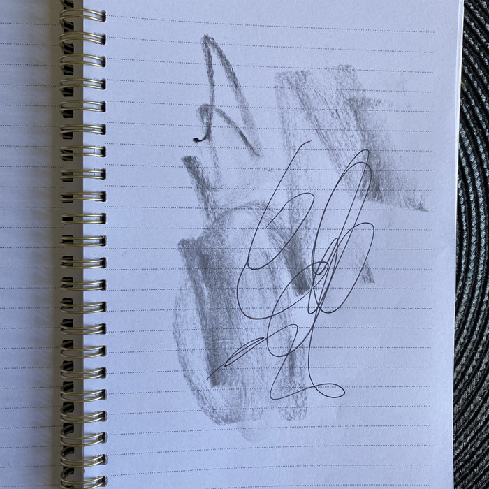 Freeform | dance parrot