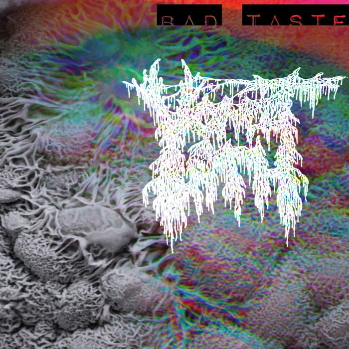 BAD TASTE | Vomit Bath | ЅⱣДҀЄↁФЦГ
