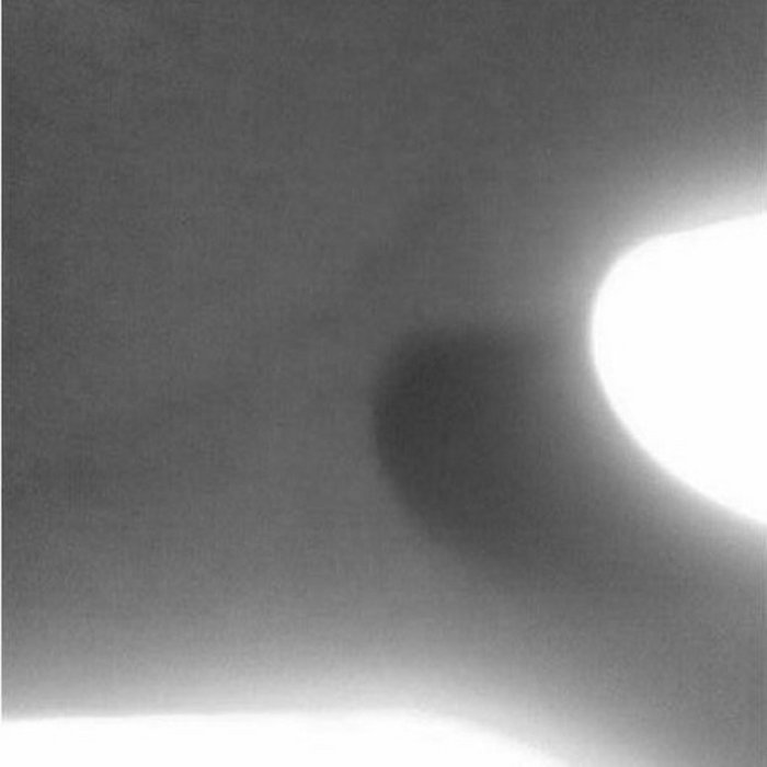 (Novo Novo) | Petej Amon | Krep Productions