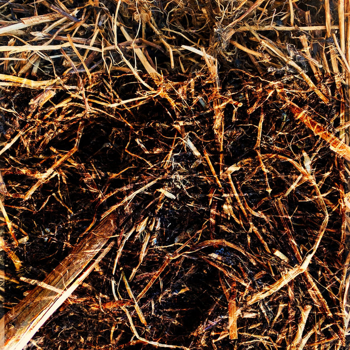 Rural Textures | Sordid Swans