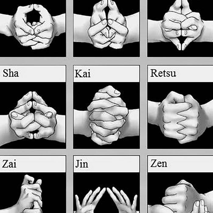 Ninja Hand Poses
