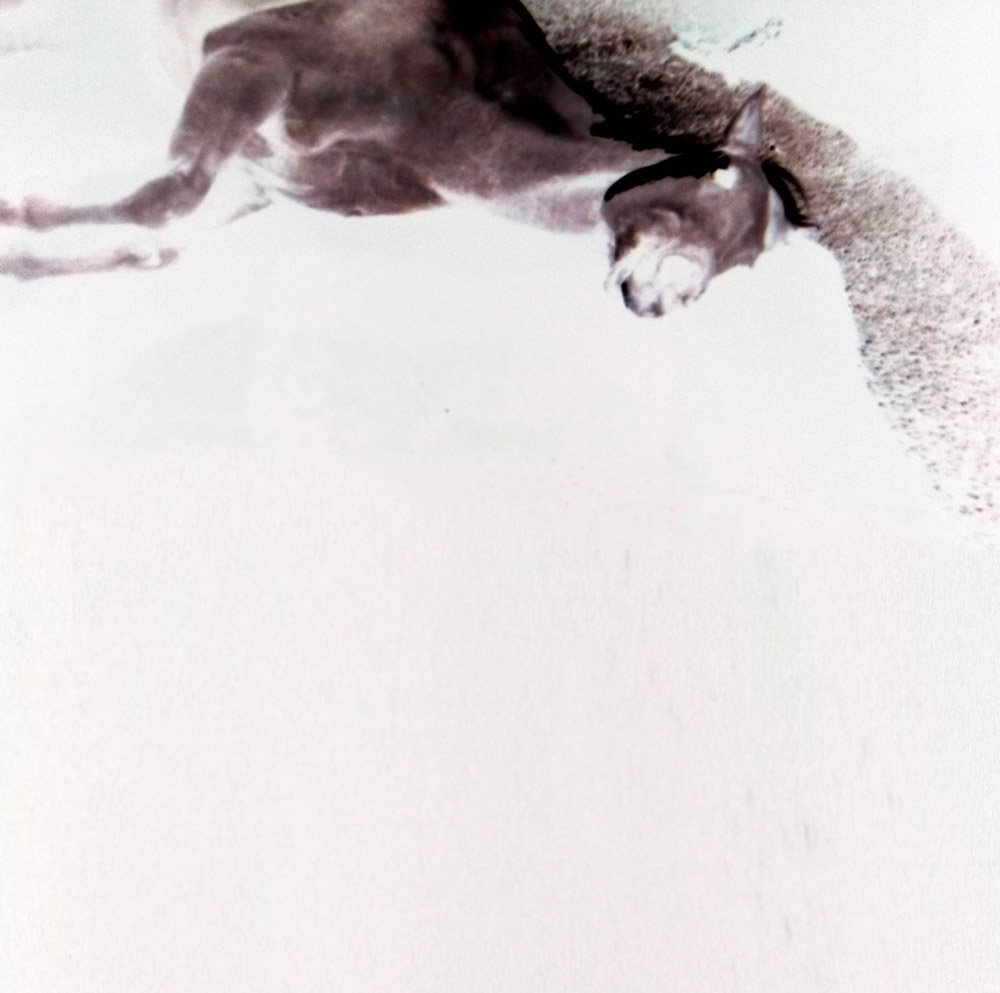 Abandon Self | /// Δ | Michael Amason
