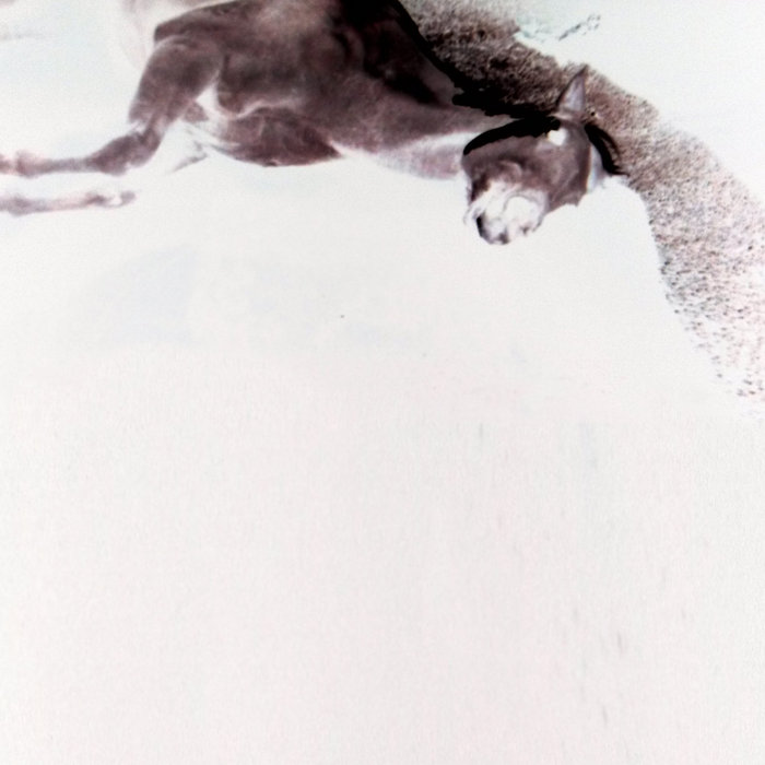 Abandon Self | /// Δ | Michael Amason