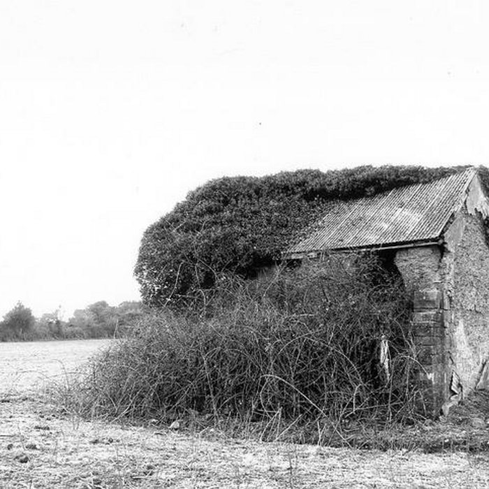 Big Barn | traditional Chinese medicine
