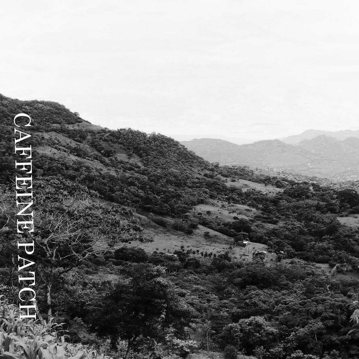 Caffeine Patch | Caffeine Patch