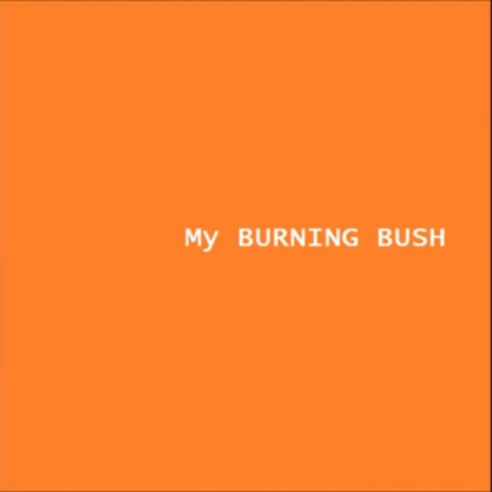 (The Orange Album) | my burning bush