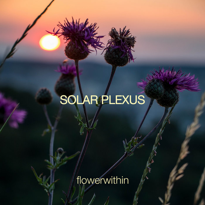 Solar Plexus Sound | flowerwithin