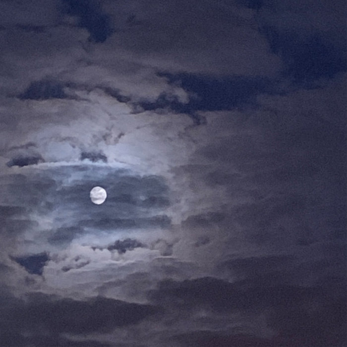 Marginalia 17 | Peter Nagle