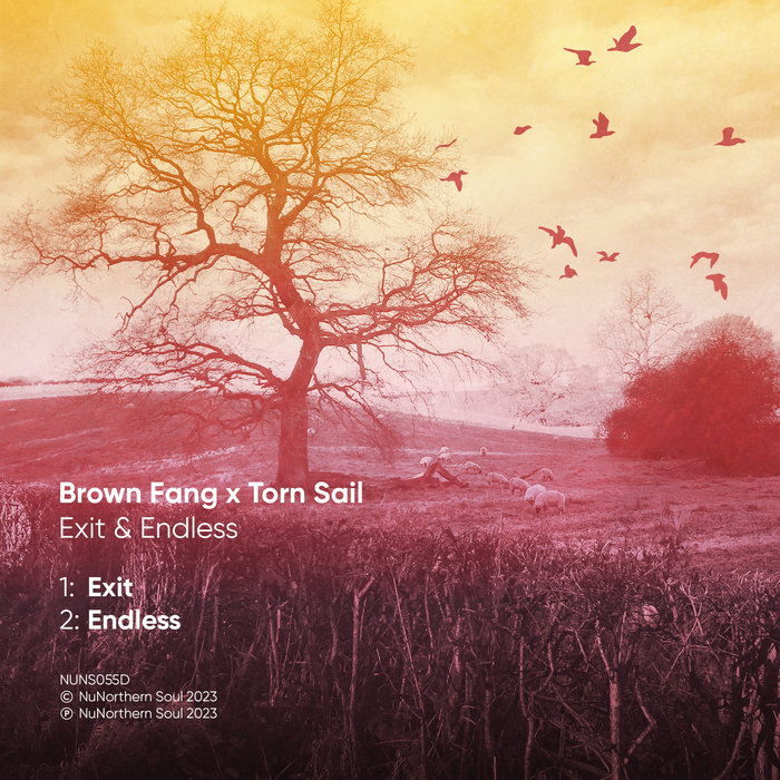 Exit & Endless | Brown Fang x Torn Sail | Brown Fang