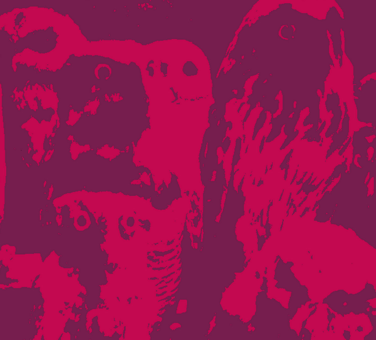 STRIGIFORM EYES - Departure | Strigiform Eyes | ONLY VOID