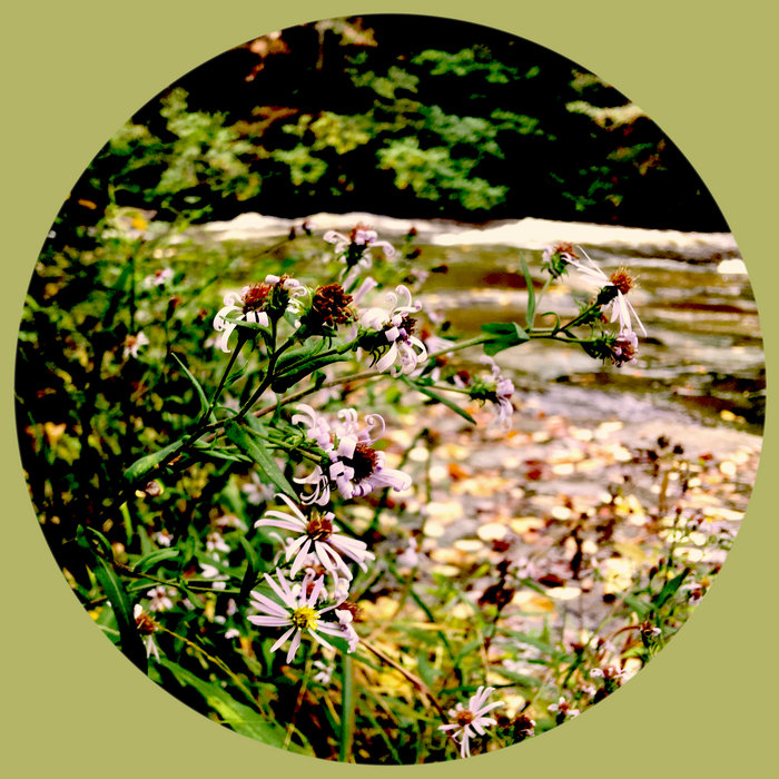 So Then Flowers Are Free... | The Spirit Preservation Society | Gypsy ...