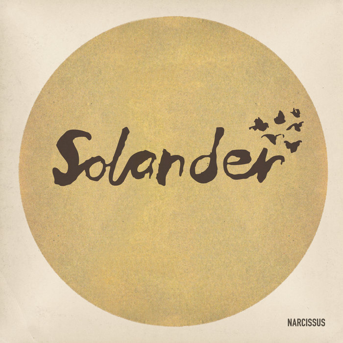 Narcissus | Solander