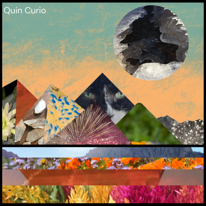 Quin Curio | Emily McLean, Elle Leatham | Quin Curio